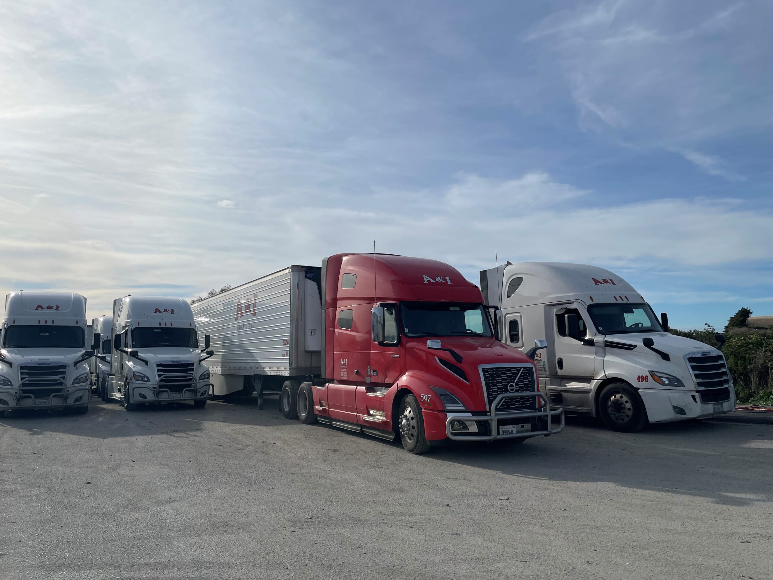 Customer Service - A&I Express / Transport